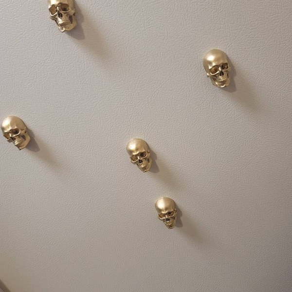 5 Piece Human Skull Magnets - Etsy