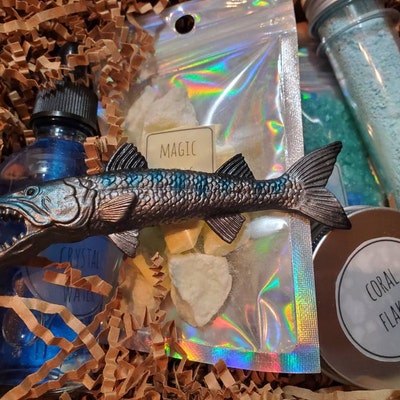 Dinosaur Explorer Potion Kit - Etsy