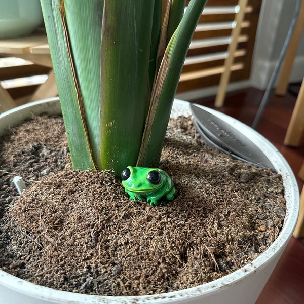 Sad Avocado Realistic Black Rain Frog Friend Deskpal - Etsy Canada