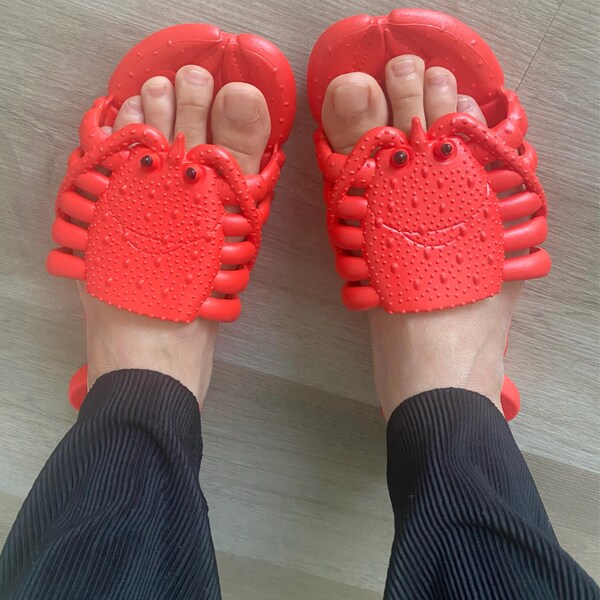 Coddies Shark Flops - Shark Fish Sandals - Funny Shoes - Fish Flip Flops - Gifts for Her, Gifts ...