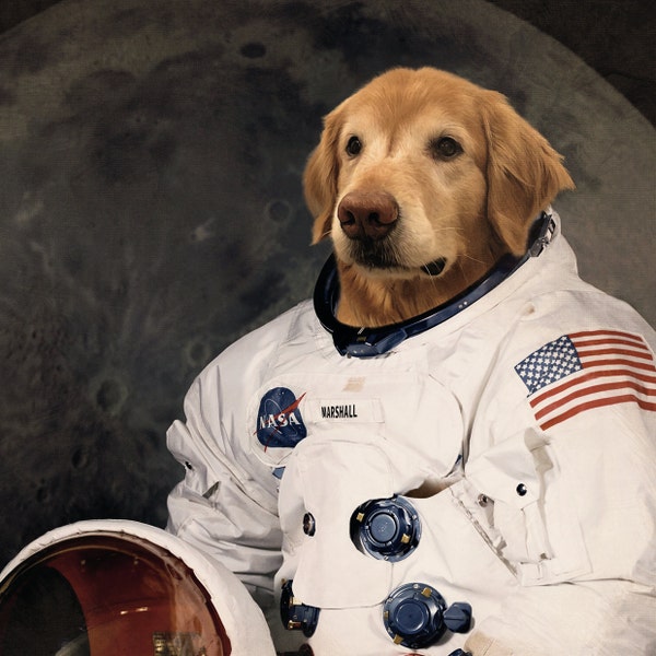 Custom Pet Astronaut Portrait, Dog, Cat, Painting From Photo, Space ...