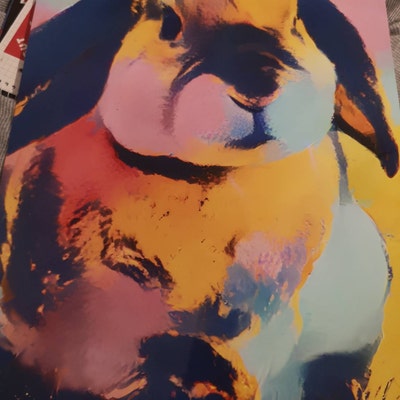 Rainbow Lion Print Leo Painting Poster King Head Artwork Canvas Mixed ...