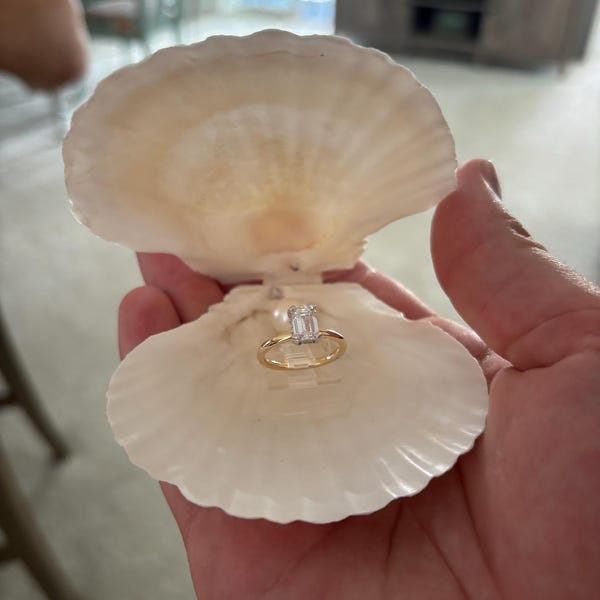 Proposal Seashell Ring Box/seashell Wedding Ring Box/shell Engagement ...