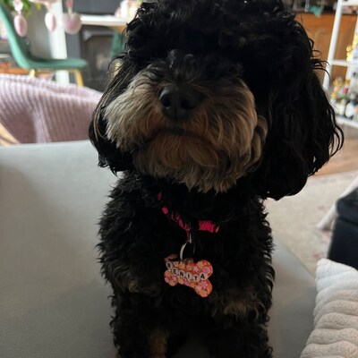 Squiggle Arch Rainbow Iridescent Acrylic Earrings - Etsy