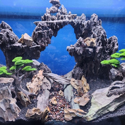 2-4 Gallon Nano Aquascape Decor SOUL CANYON Aquarium Dragon - Etsy
