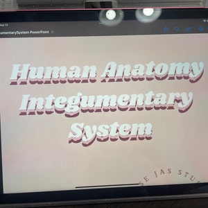 Human Anatomy Complete Study Bundle Anatomy Notes & Study Guide - Etsy