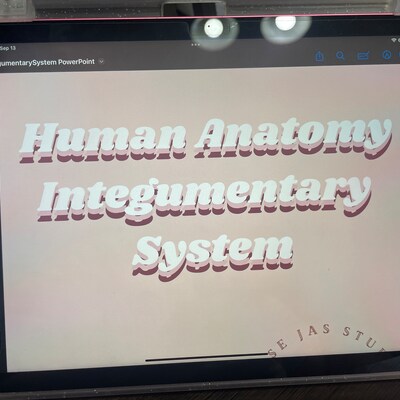 Human Anatomy Complete Study Bundle Anatomy Notes & Study Guide - Etsy