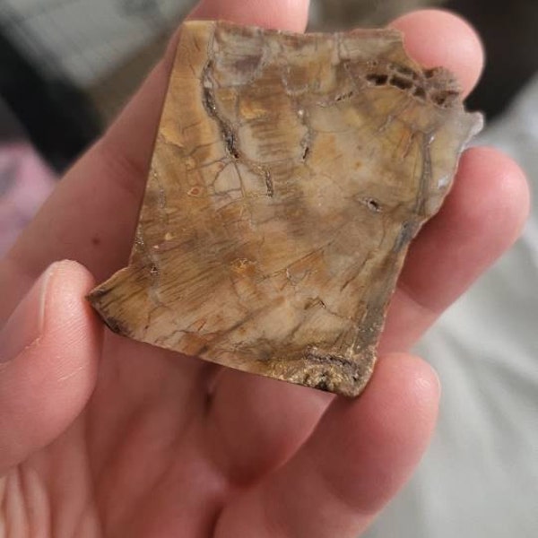 Mookaite Jasper Worry Stone, Strength Vitality, Mookaite Jasper Thumb Stone, Mookaite Jasper ...