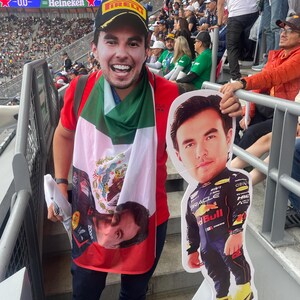 Daniel Ricciardo Christmas Ornament - Etsy