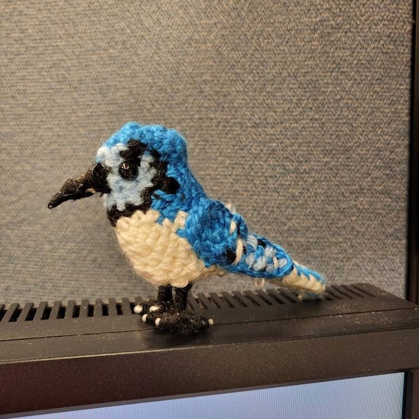 Beautiful Blue Jay Written Crochet Pattern | Realistic Bird Crochet ...