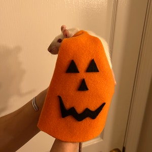 Jack O' Lantern Cape Costume for Pet Rats, Orange Cape With Black ...