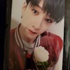 Stray Kids SKZ 5 Star Lucky Draw Photocards Set -preorder - Etsy Canada