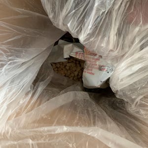 Tetrapleura Tetraptera /prekese / Aidan Tree.1000g/1kg - Etsy