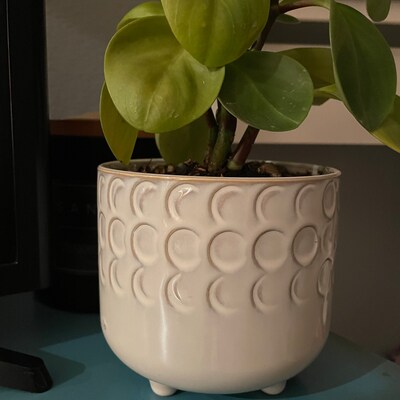 Footed Moon Phase Planter Ceramic Plant Pot, Footed/legs, Moon ...