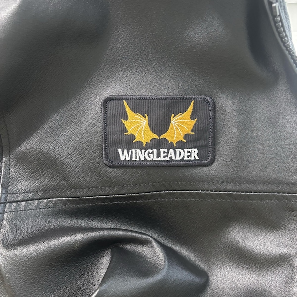 Fourth Wing Embroidered Patch, Flight Jacket Cosplay Patches, Dragon ...