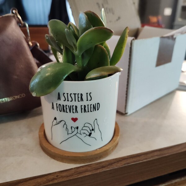 Personalized DNP Graduation Gift 3 White Ceramic Pot W/ Live Plant DNP Gift Doctor of Nursing ...