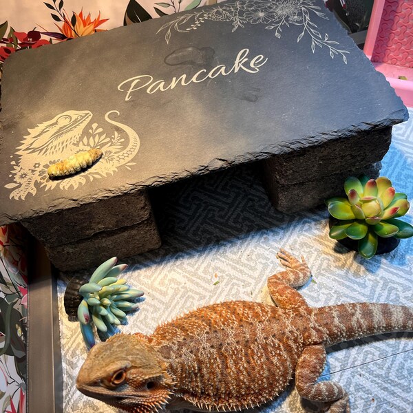 Custom Reptile Hide/snake Hide/ Gecko Hide/customizable - Etsy