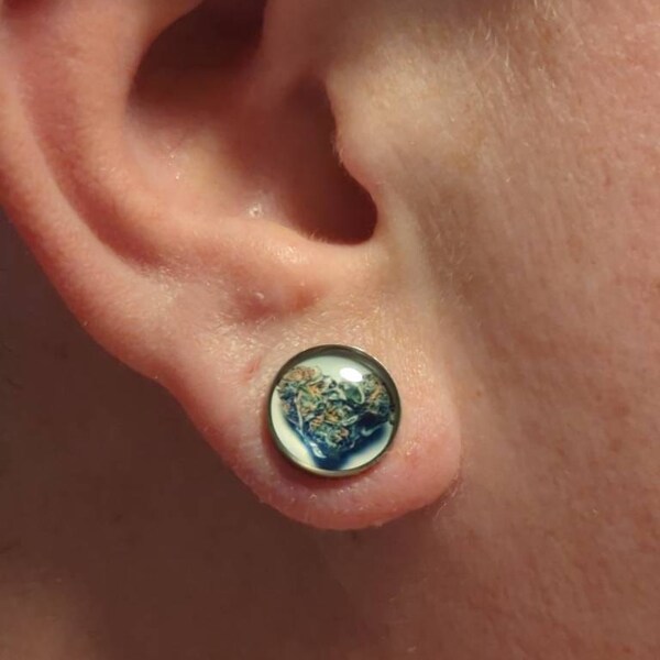 Love Bud Picture Plugs Gauges - 16g, 14g, 12g, 10g, 8g, 6g, 4g, 2g, 0g ...