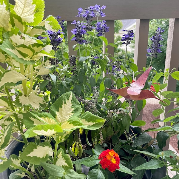 Copper 3 Piece Metal Cactus Set by Clever Goods Co Garden Decor, Garden ...