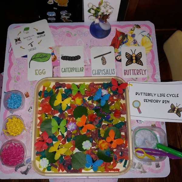 Butterfly Life Cycle Printable PDF | Leveled Life Cycle Sequencing ...