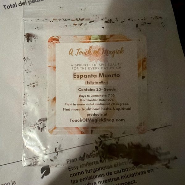 Espanta Muerto Seeds | False Daisy | Eclipta Prostata | Eclipta Alba ...