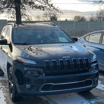 Fits 2022 2023 Toyota GR86 Precut Rear Quarter Window Animal Cow and ...