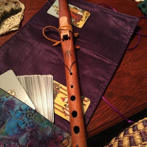 Snapping Turtle Shell Maraca Rhythm Percussion Instrument | Etsy