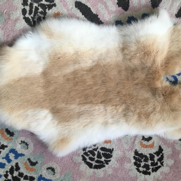 5x WHITE Rabbit Skin Fur Pelt Tanned for Crafts, Fabric, Animal ...