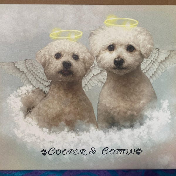 Custom Memorial Pet Drawing, Pet Portrait From Photo, Painting ...
