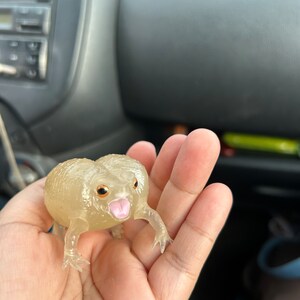 L333 Maze Zebra Pleco Fish PVC Mini Figurine Figure Model - Etsy