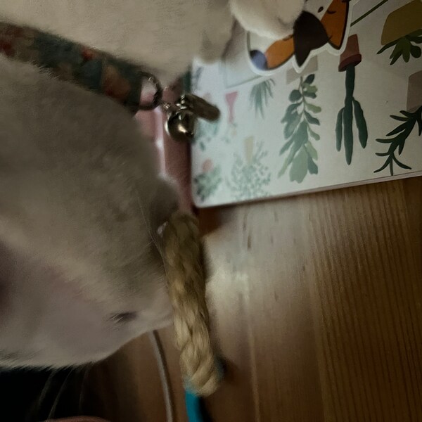 Twist Tie Toy, Natural Cat Toy, Cat Toss Toy, Twistie Toy, Toys for ...