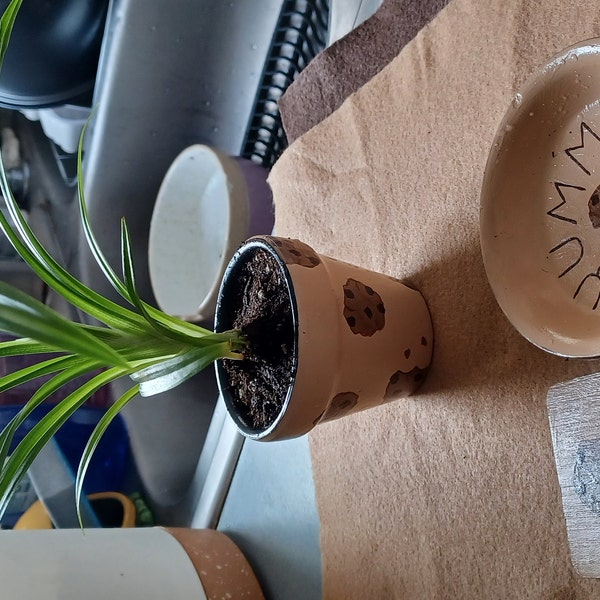 Spongebob Pineapple House Hand-painted Terracotta Pot|indoor Planter ...