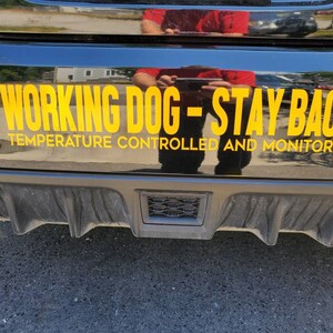 Working Dog Stay Back Temperature Controlled and Monitored Decal Dog ...