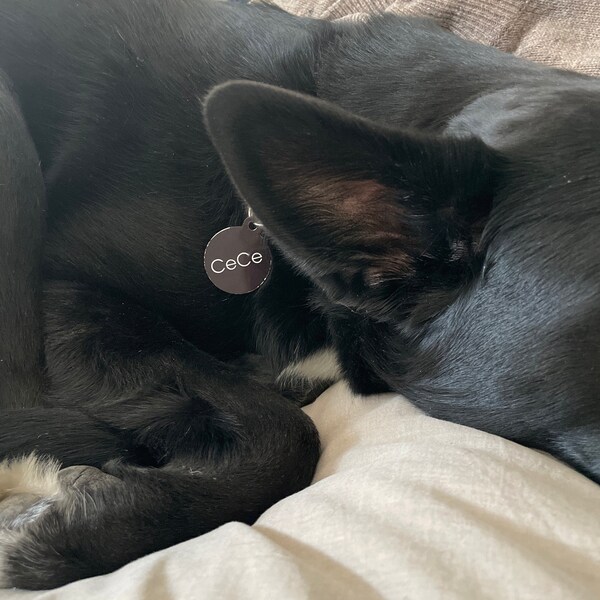 Blue Hunter Dog Tag Cat Tag Pet ID Tags - Personalised Name and Number ...