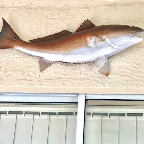 Largemouth Bass Half-side Fish Mount 28'' - Etsy