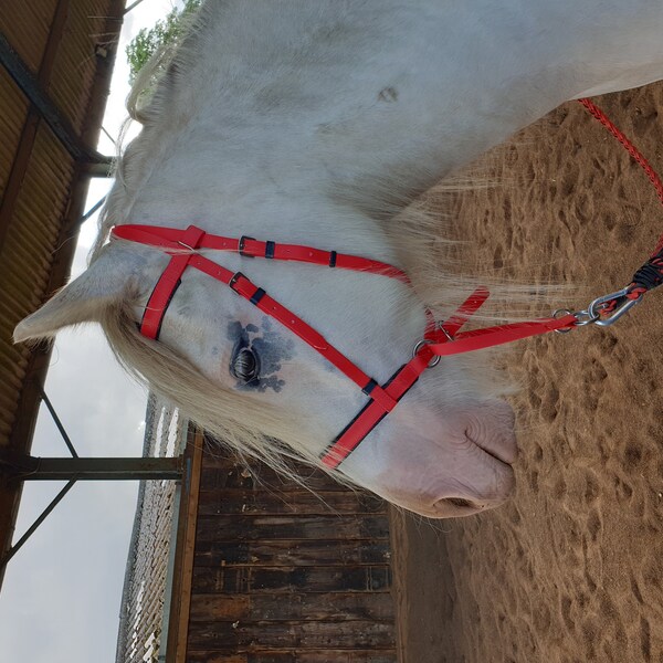 Synthetic, Biothane, Bitless, Cross Under Bitless Bridle - Etsy