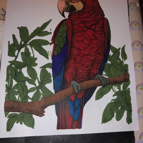 French Bulldog Coloring Book, Frenchies, Printable Coloring Pages ...