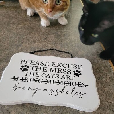 Welcome to the Catio Wood Sign Cat Head Sign Cat House Sign - Etsy