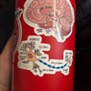 Labeled Digestive System Diagram | Sticker | Hand-drawn | Anatomy ...