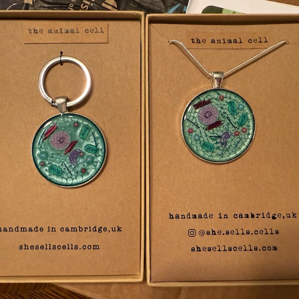 Plant Cell Key Chain - Key Ring - Cell Biology, Biology Gift, Key Chain ...