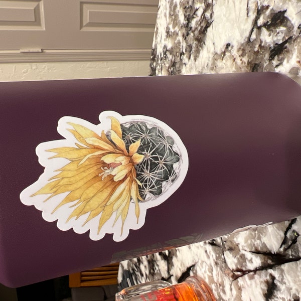 Grackle Sticker - Etsy