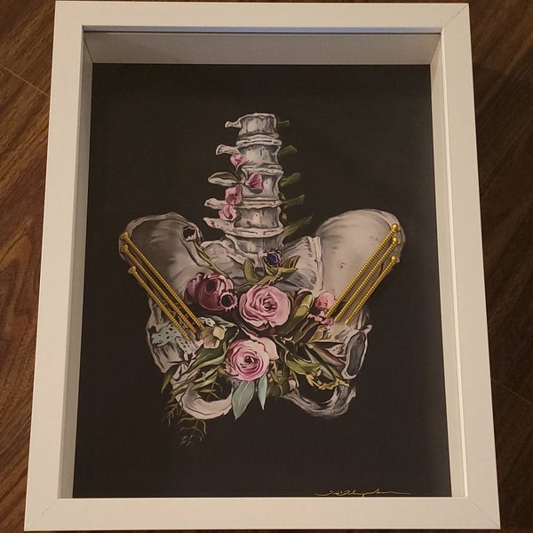 Pelvic Floor Floral Anatomical Art Print - Pelvis With Flowers, Medical ...