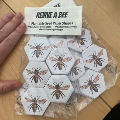Bee Revival Kit With Plantable Paper rose Gold - Etsy