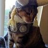 Brunhilde, Vikings, Valkyries, Wagner Opera, Hats for Cats, Pet Hats ...