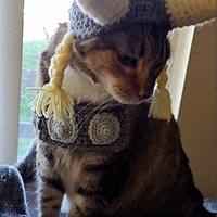 Brunhilde, Vikings, Valkyries, Wagner Opera, Hats for Cats, Pet Hats ...