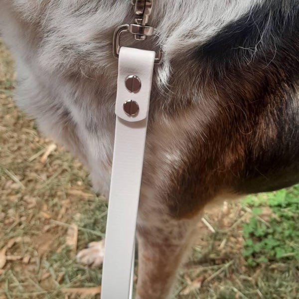 Biothane Dog Grooming Loop Extender, Waterproof Dog Groomer Tools, Dog ...