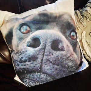 Pets Personalised Cushion Pet Memorial Pet Loss Gift Dog - Etsy UK