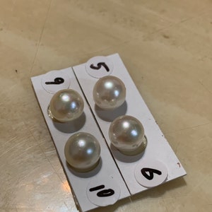 16.9x14.0mm Natural Deep Sea Angel Skin Color Coral Oval | Etsy