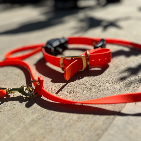 Funny Sayings Tag, Lightweight Tag, Funny Tag, Fun Dog Tag, Aluminum ...