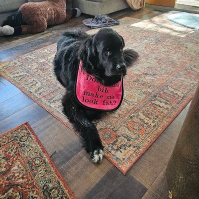 Dog Bib ,large Drool Bib, Slobber Dog Bib , Newfoundland Dog ,st ...